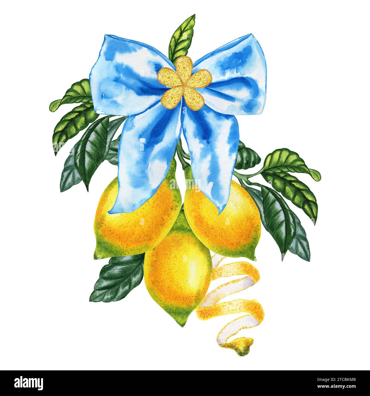Branch with lemons tied with a blue bow watercolor illustration. Hand ...