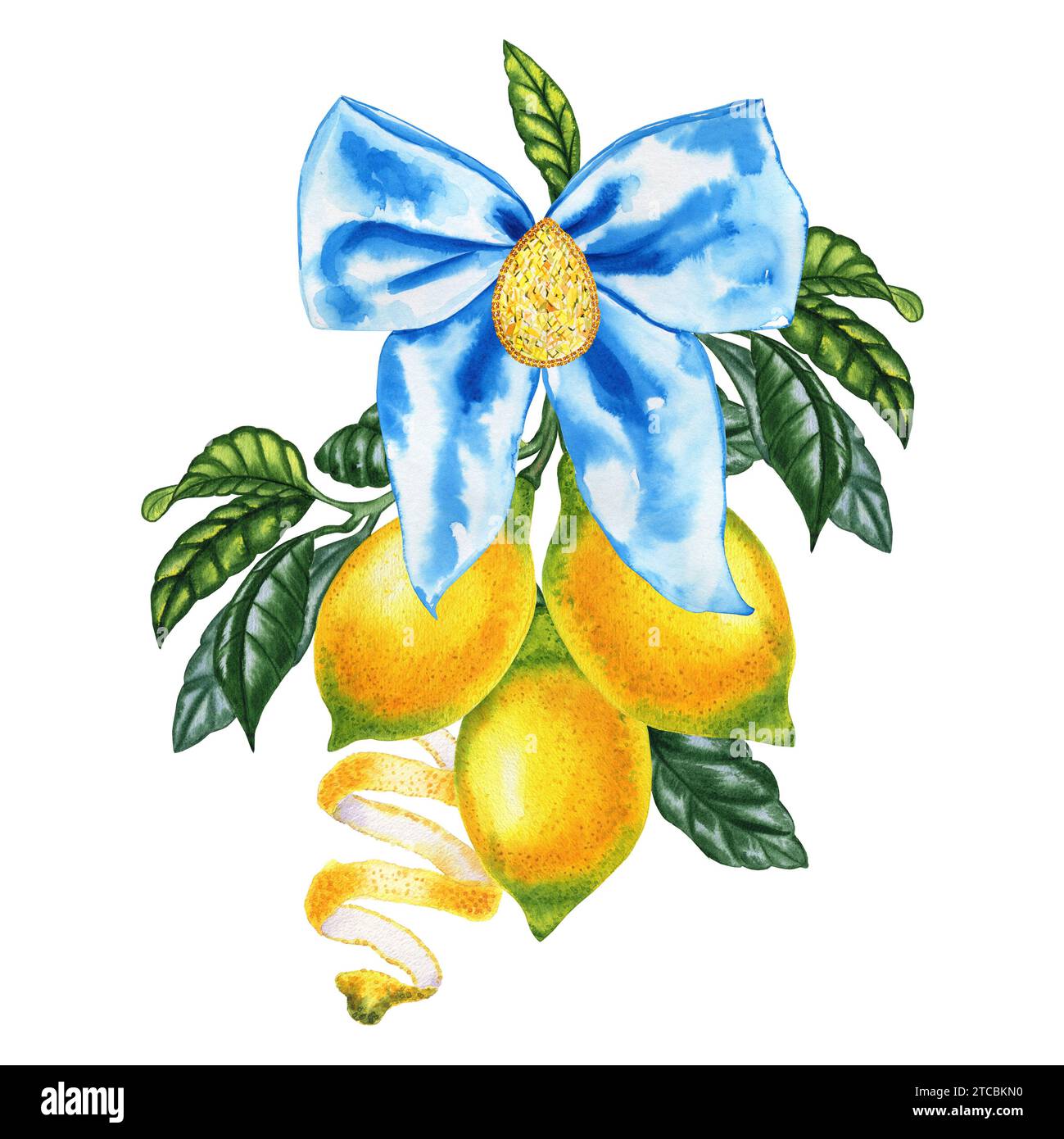 Italy lime harvest Cut Out Stock Images & Pictures - Alamy