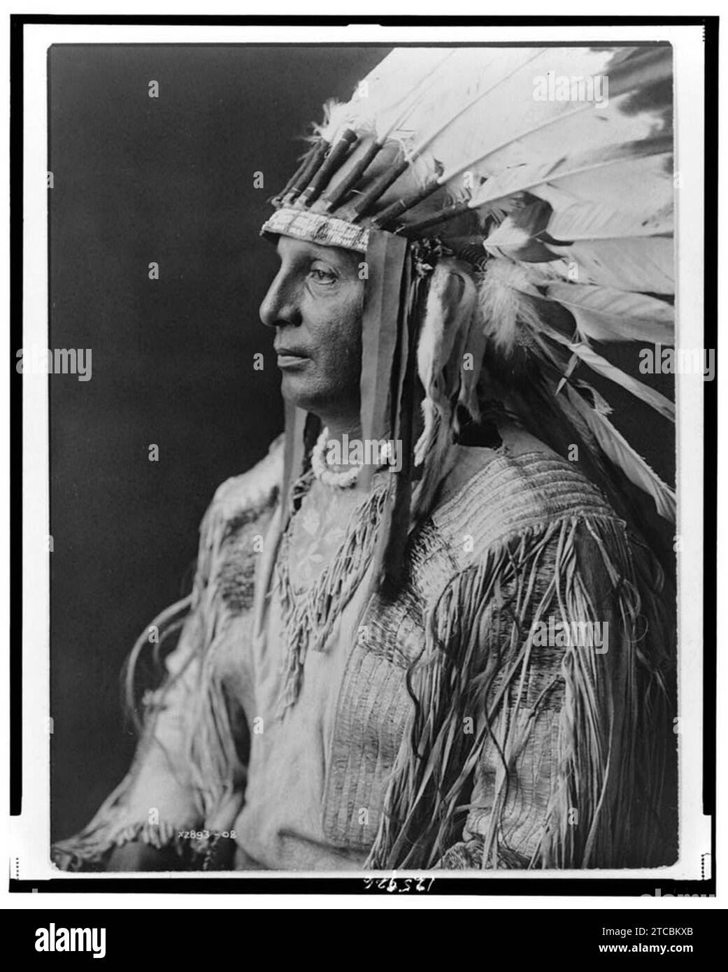 Half length shield Black and White Stock Photos & Images - Alamy