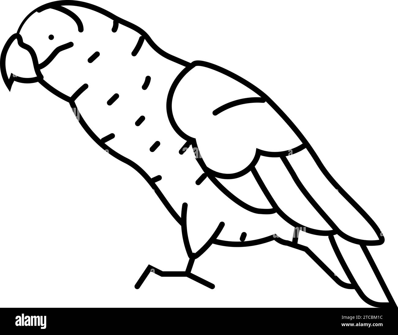 Black and white african birds Cut Out Stock Images & Pictures - Alamy
