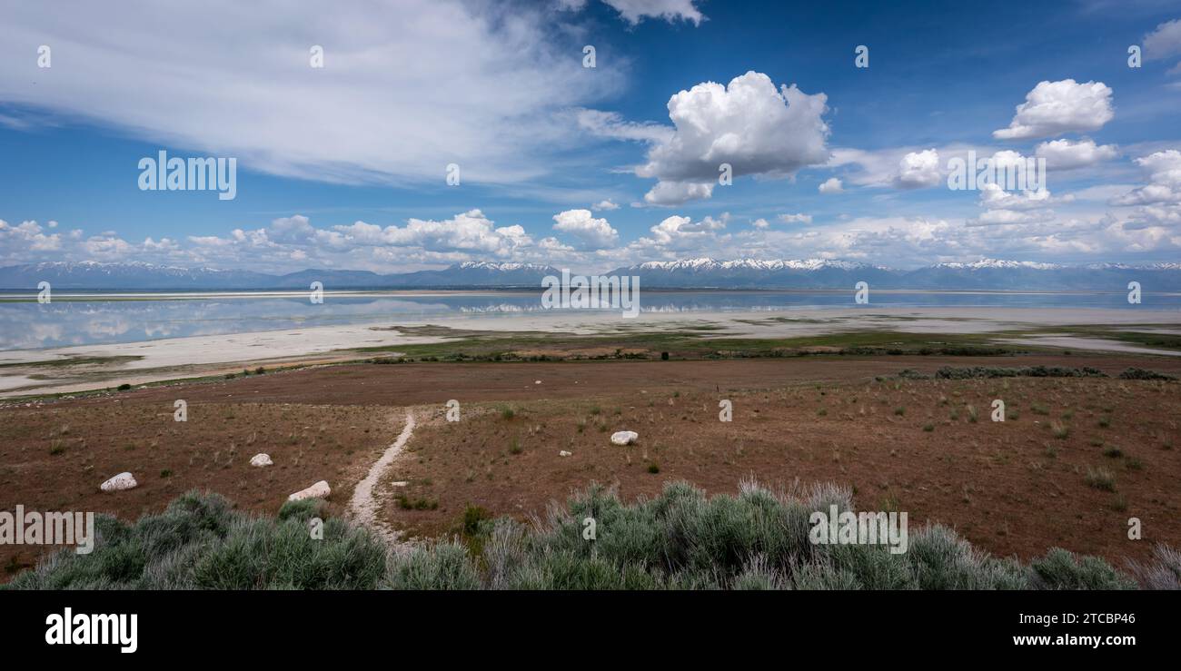 A scenic view of a wide, open landscape with shrubs and fluffy white ...