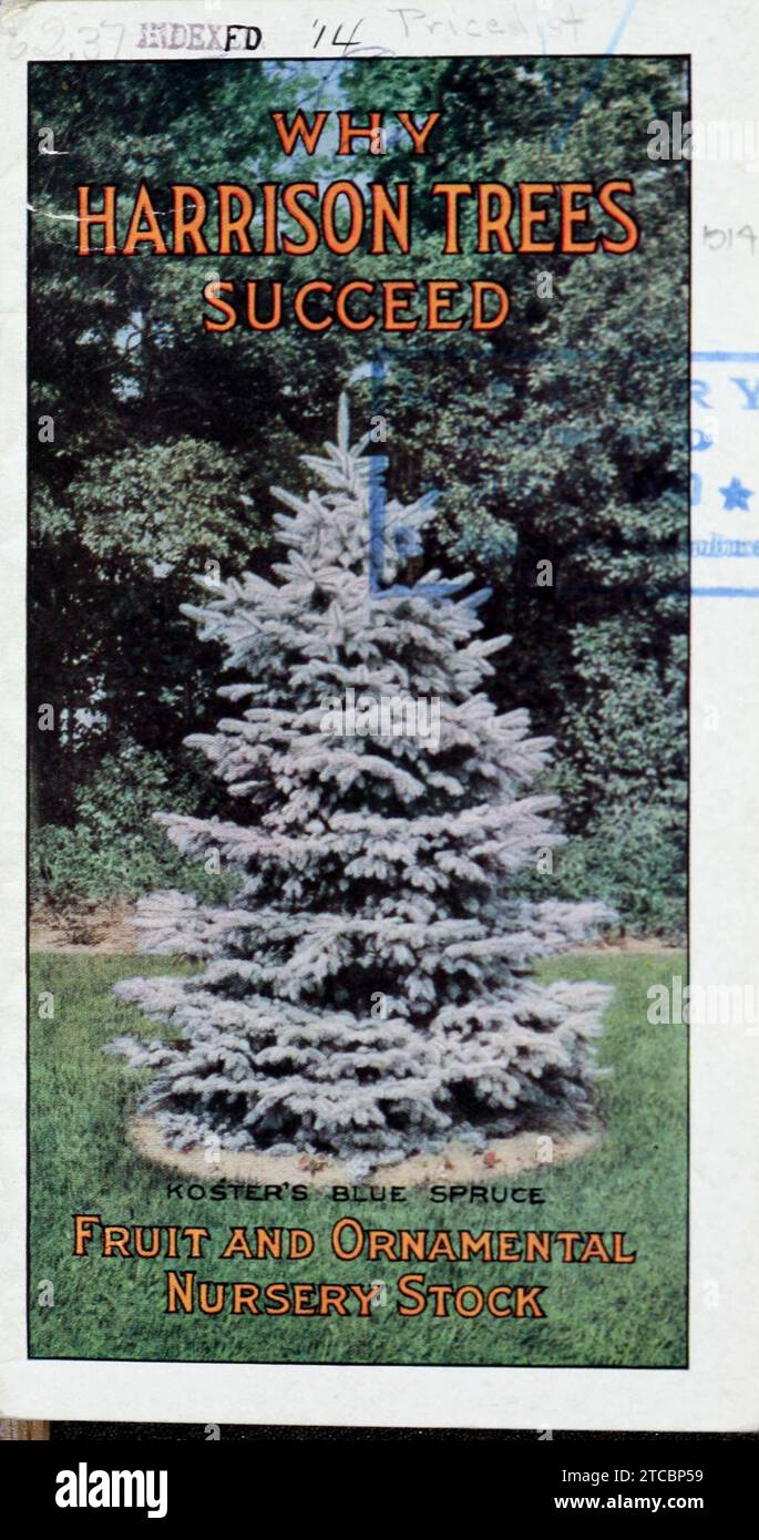 Why Harrison trees succeed (17146549635 Stock Photo - Alamy