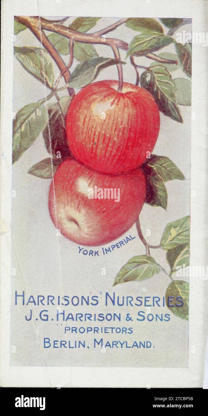 Why Harrison trees succeed (16524124234 Stock Photo - Alamy