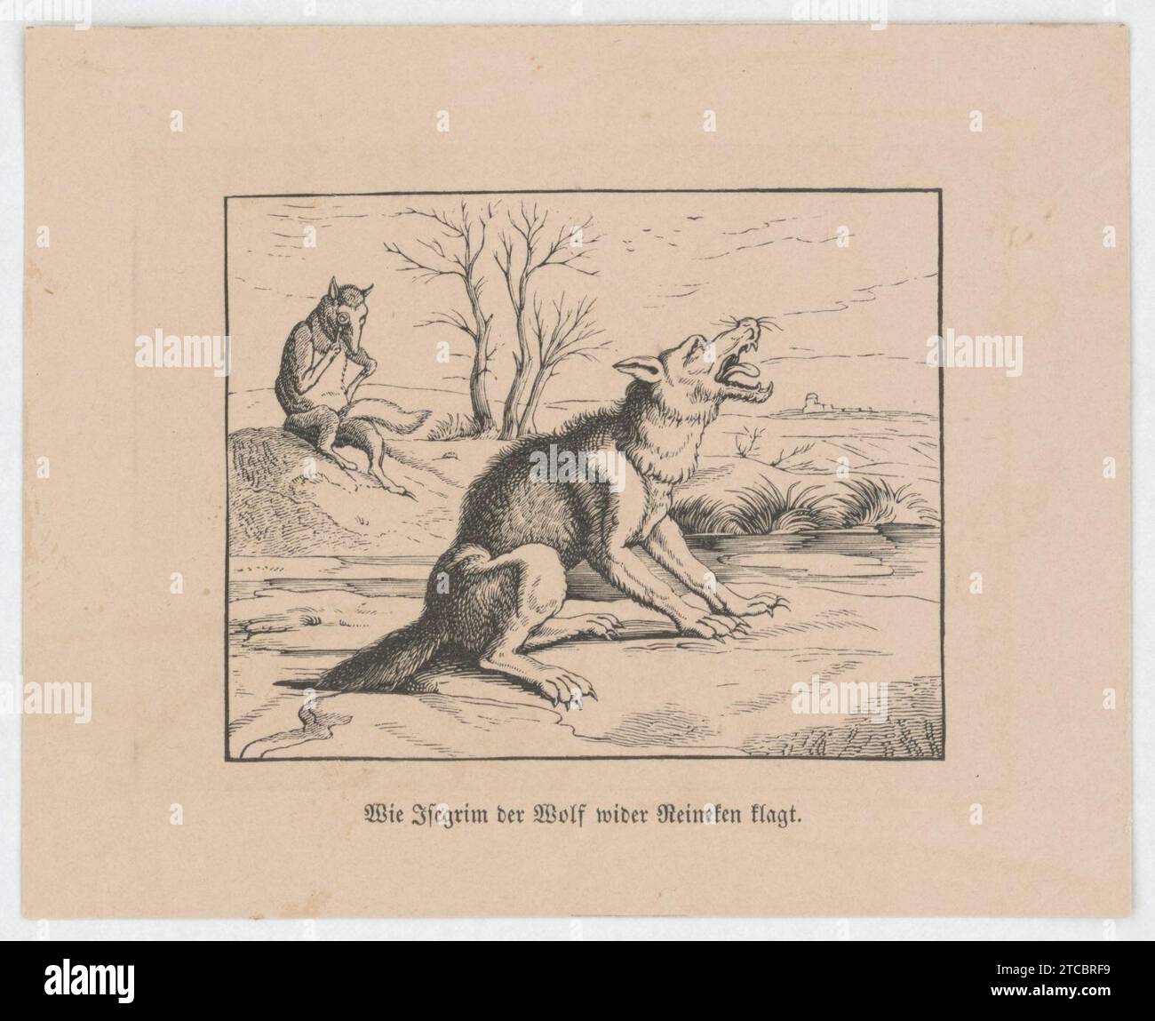 Wie der wolf hi-res stock photography and images - Alamy