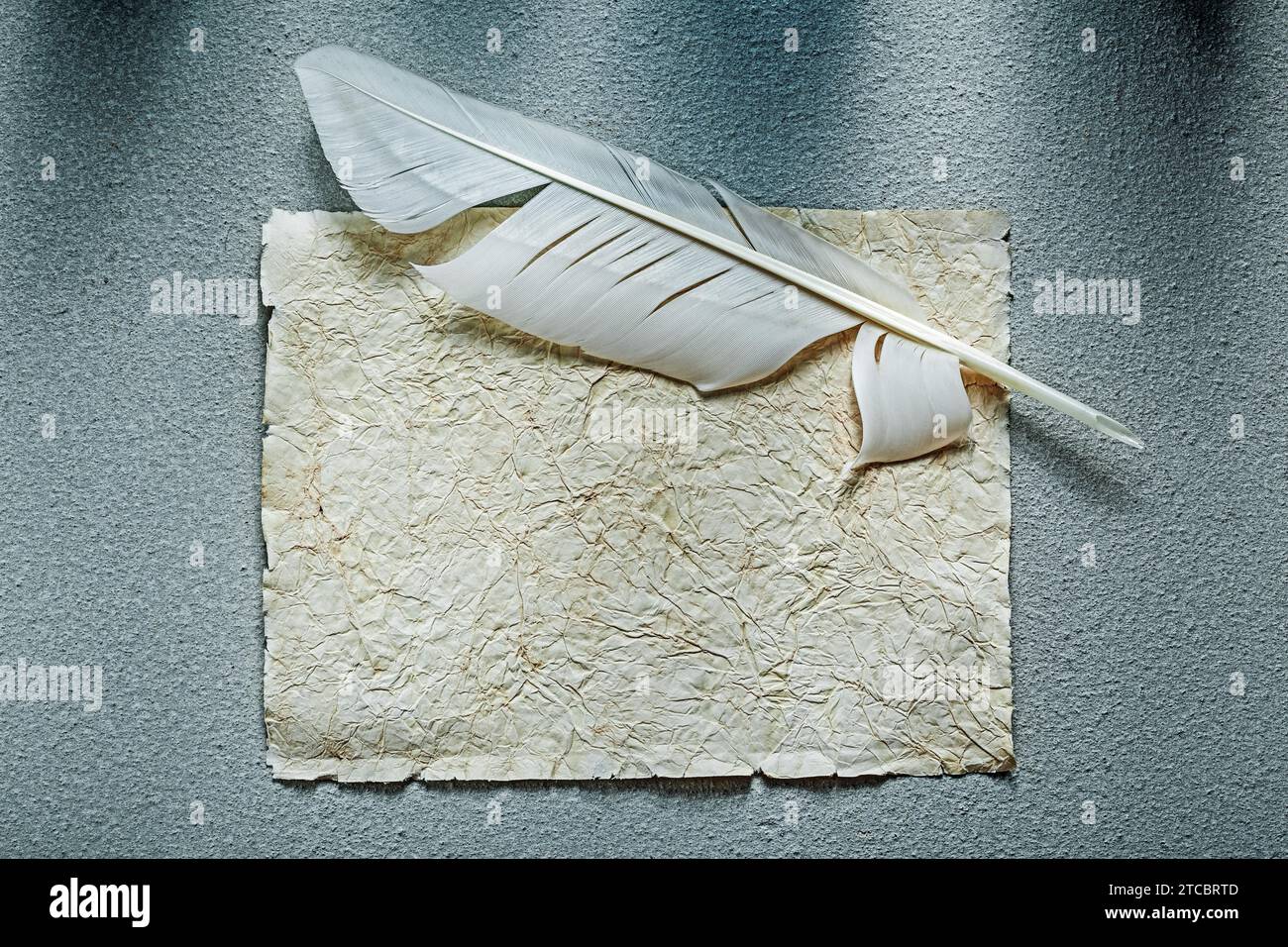 Medieval crumpled paper sheet feather on grey surface Stock Photo - Alamy