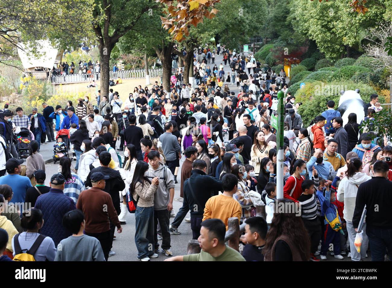 Giant pandas at Hongshan Forest Zoo draw tourists in Nanjing City, east ...