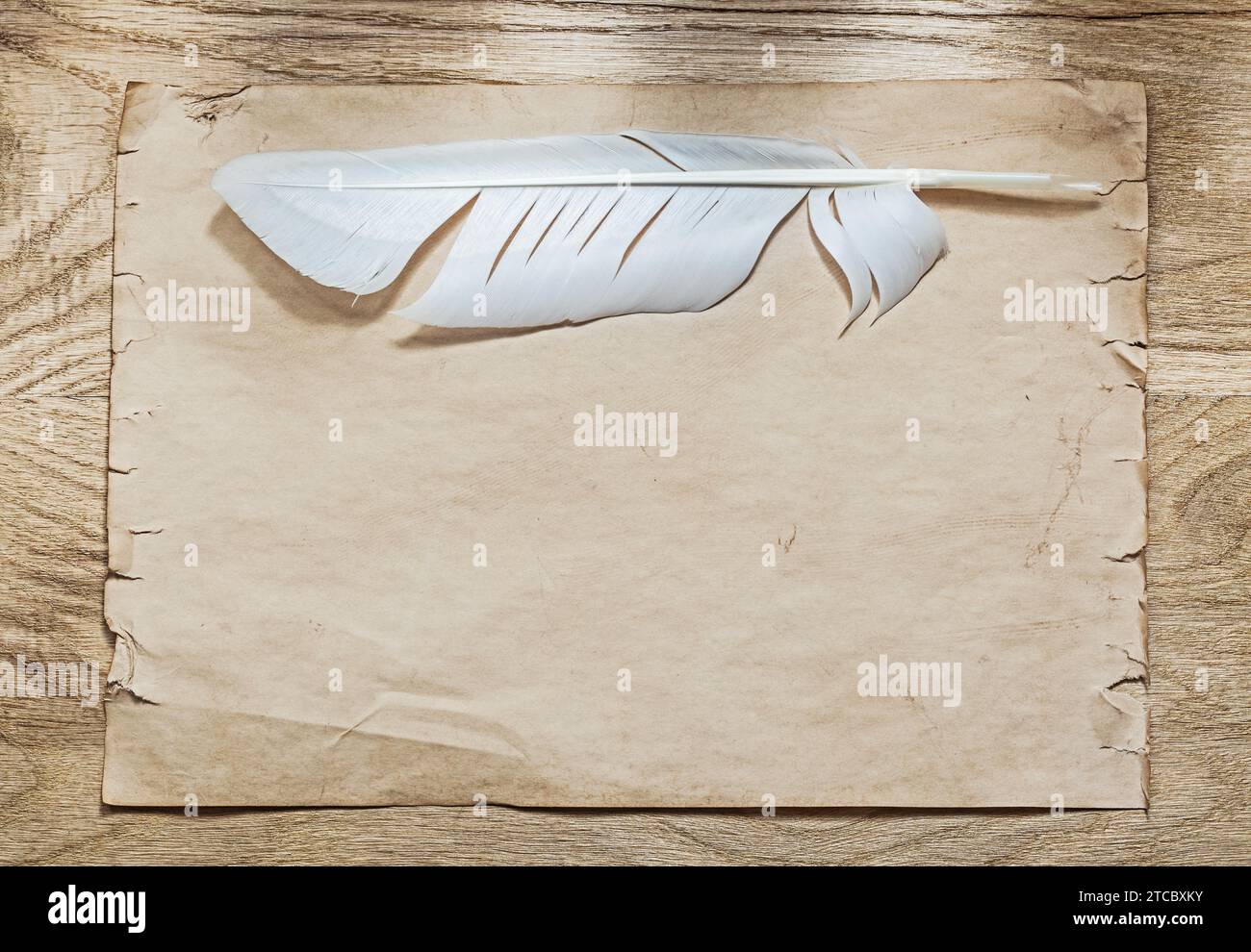 Medieval parchment hi-res stock photography and images - Alamy