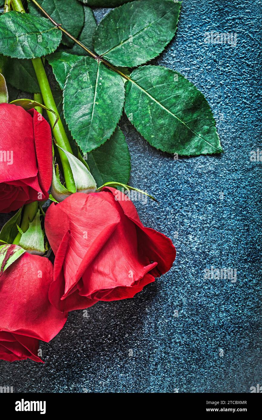 Natural fragrant red roses on black background holiday concept Stock ...