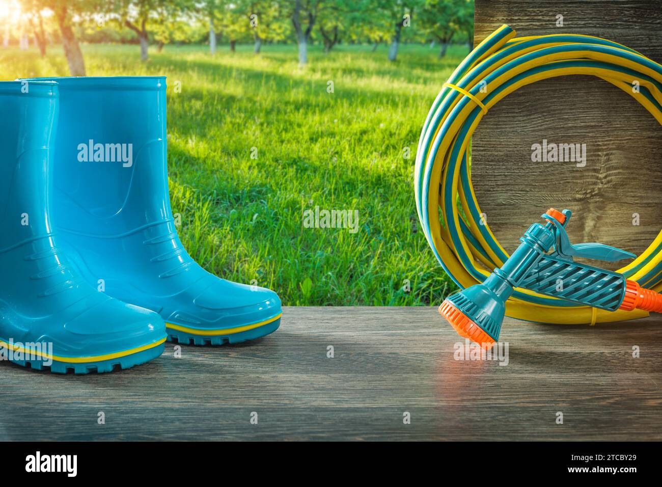 Gadening tools in spring sunny garden at sunrise blue rain wellies and hose with spray gun Stock ...