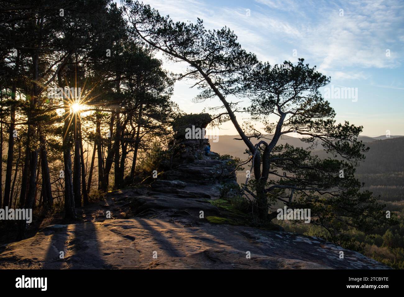 Landscape shot on a sandstone rock in the forest. Morning atmosphere at ...