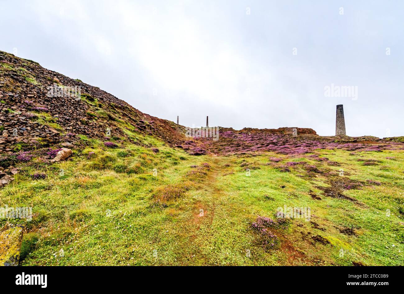 Cornwall coast line Stock Photo - Alamy