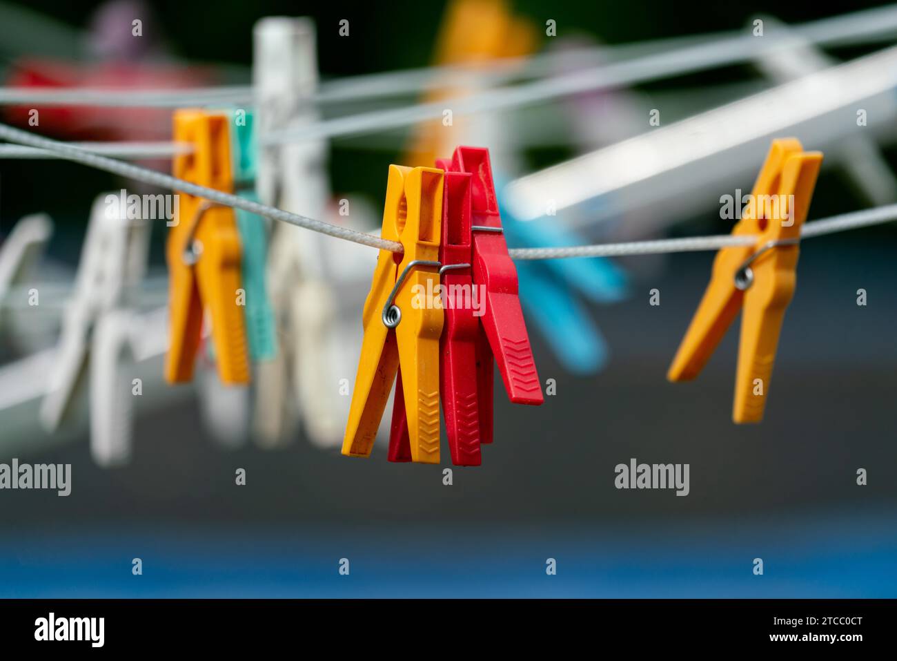 Colourful close up of red and yellow clothes pegs on a washing line ...