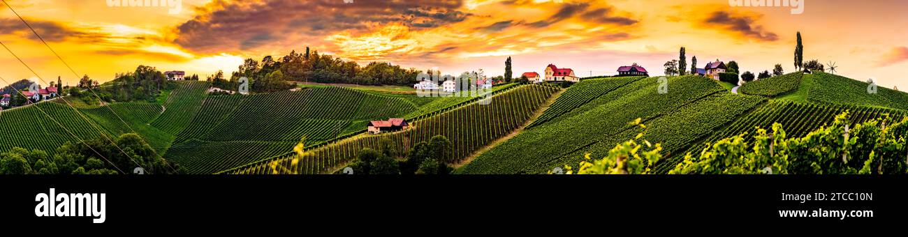 Panorama of vineyards hills in south Styria, Austria. Tuscany like ...