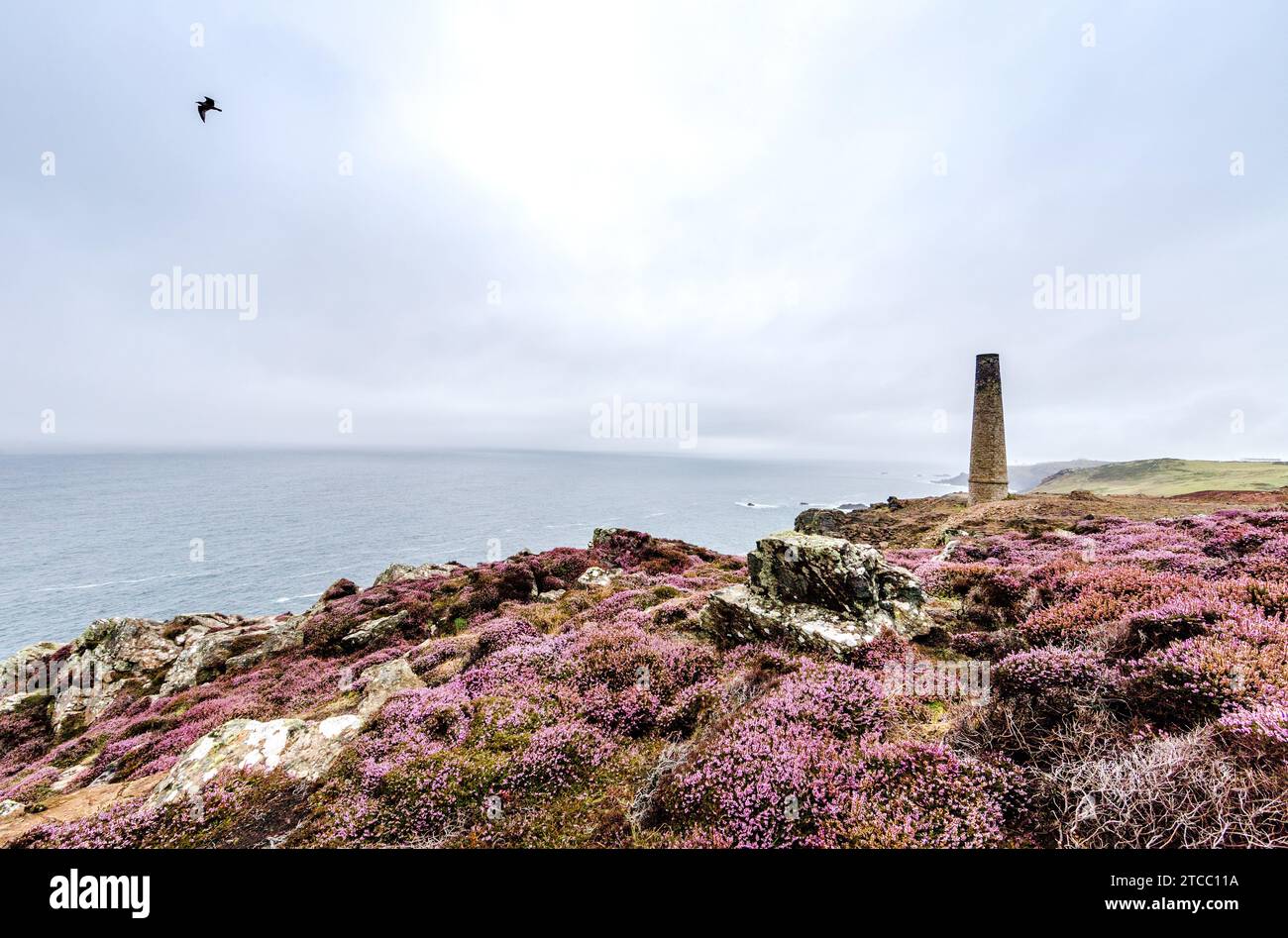 Cornwall coast line Stock Photo - Alamy
