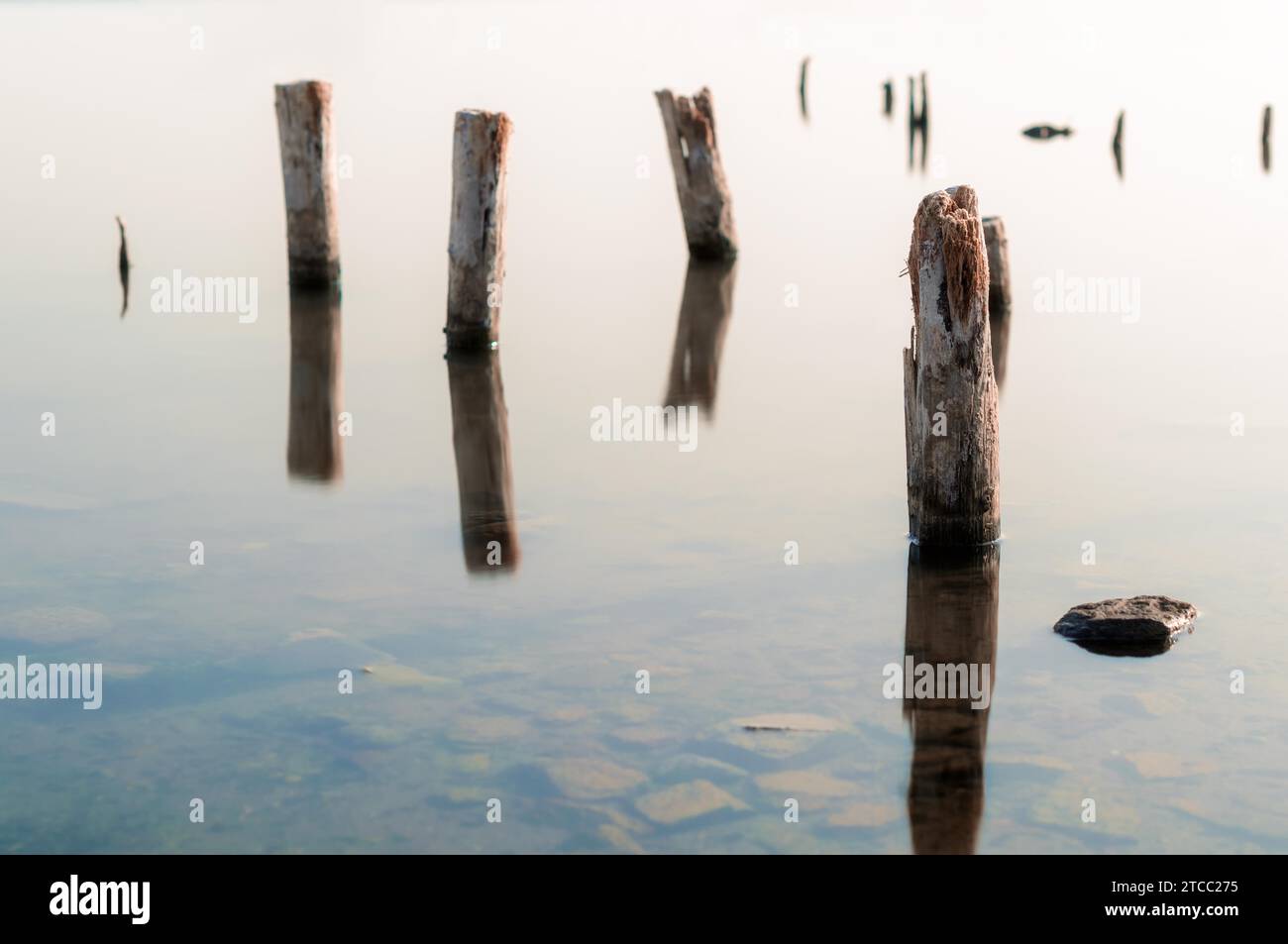 Wooden columns in a calm surface of the water Stock Photo - Alamy