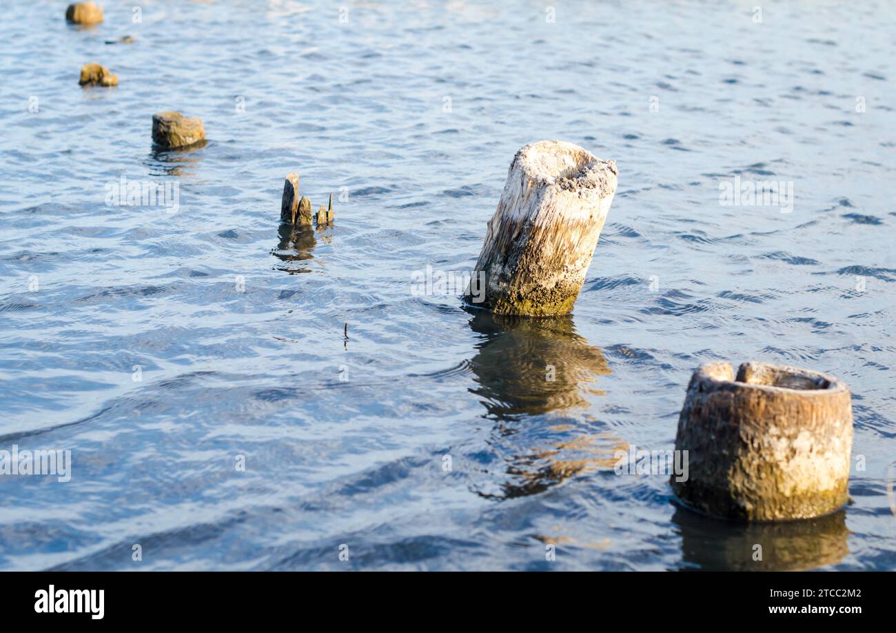 Close up pole in water hi-res stock photography and images - Alamy