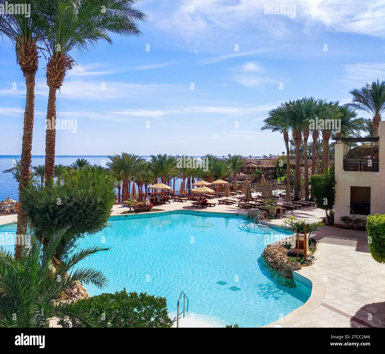 Azure water pool and green palm trees on the background of the Red Sea ...