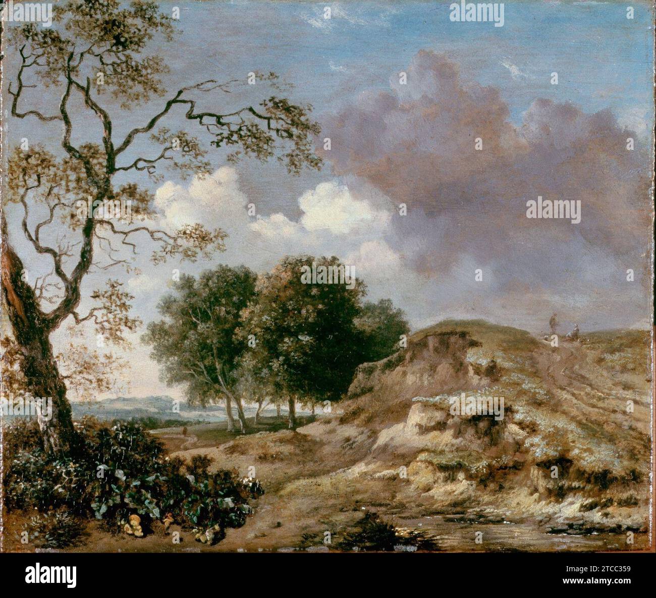 Wijnants, Jan - Landscape Stock Photo - Alamy