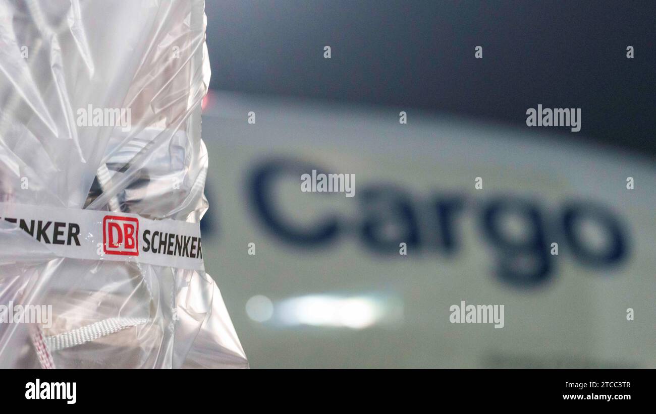 07 December 2023, Hesse, Frankfurt/Main: A DB Schenker pallet stands in ...