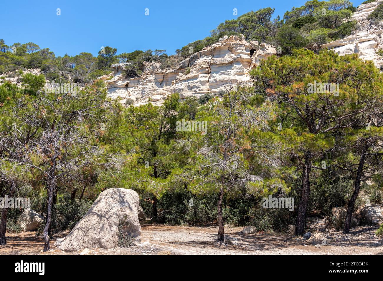 Akra fourni hi-res stock photography and images - Alamy