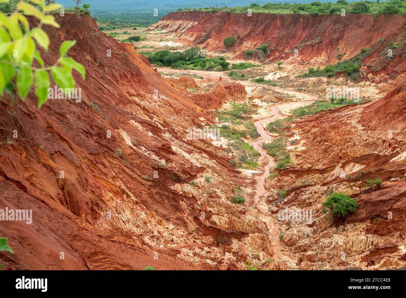 Red sandstone formations and needles (Tsingys) in Tsingy Rouge Park in ...