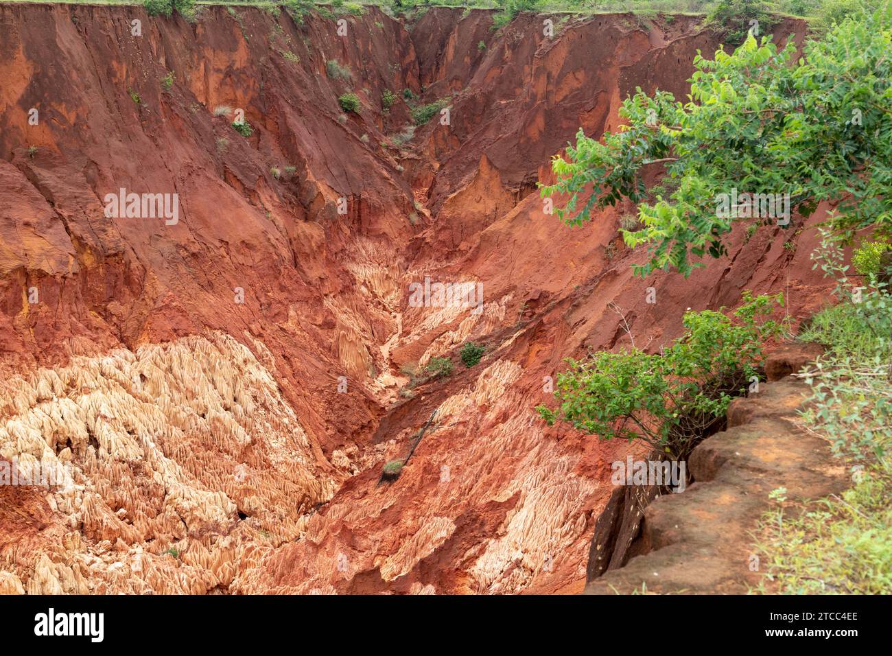 Red sandstone formations and needles (Tsingys) in Tsingy Rouge Park in ...