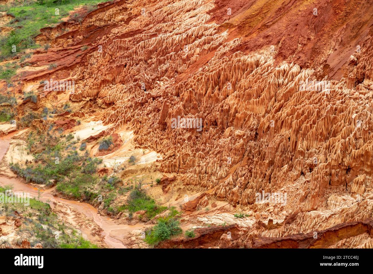 Red sandstone formations and needles (Tsingys) in Tsingy Rouge Park in ...