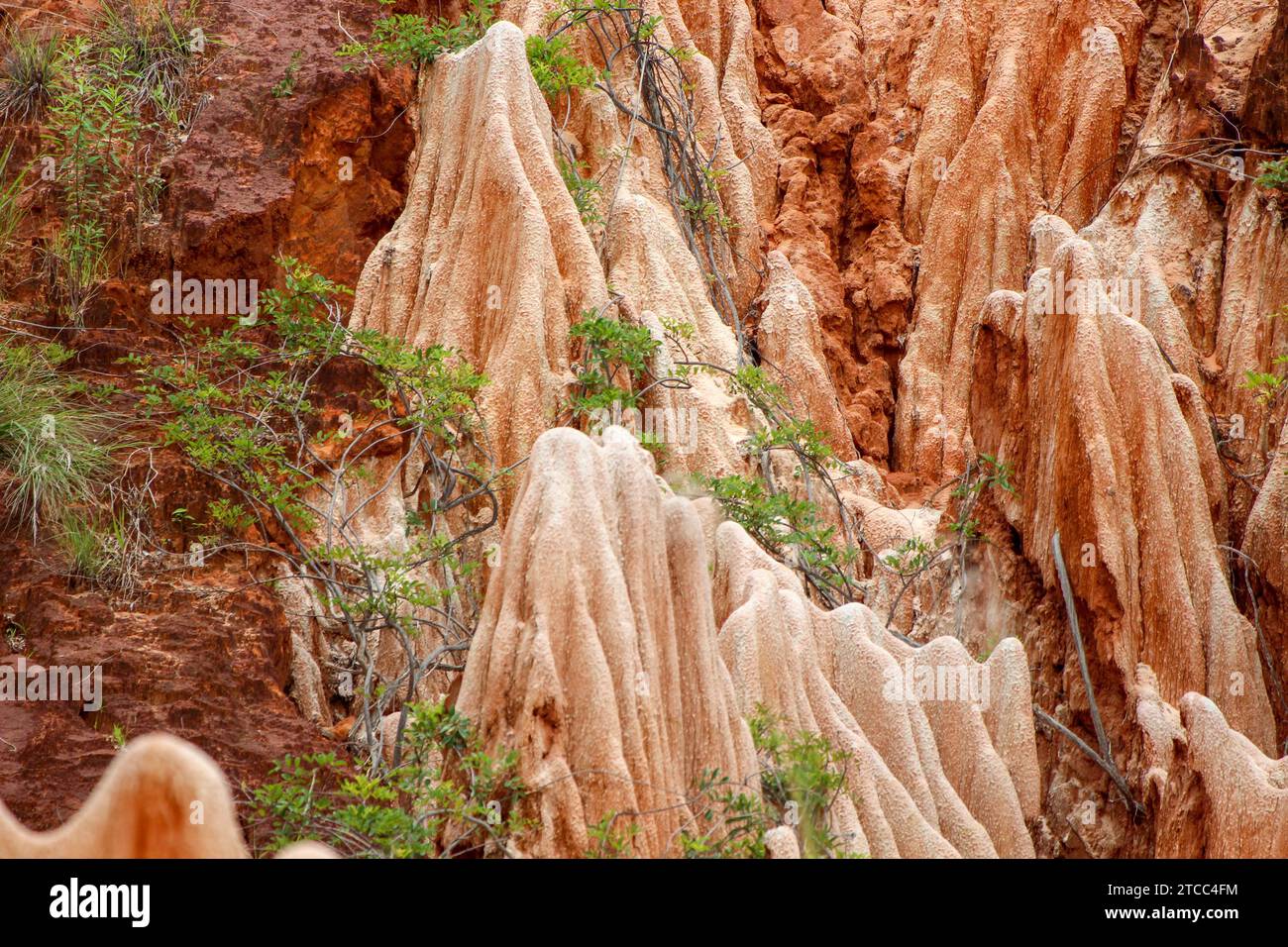 Red sandstone formations and needles (Tsingys) in Tsingy Rouge Park in ...