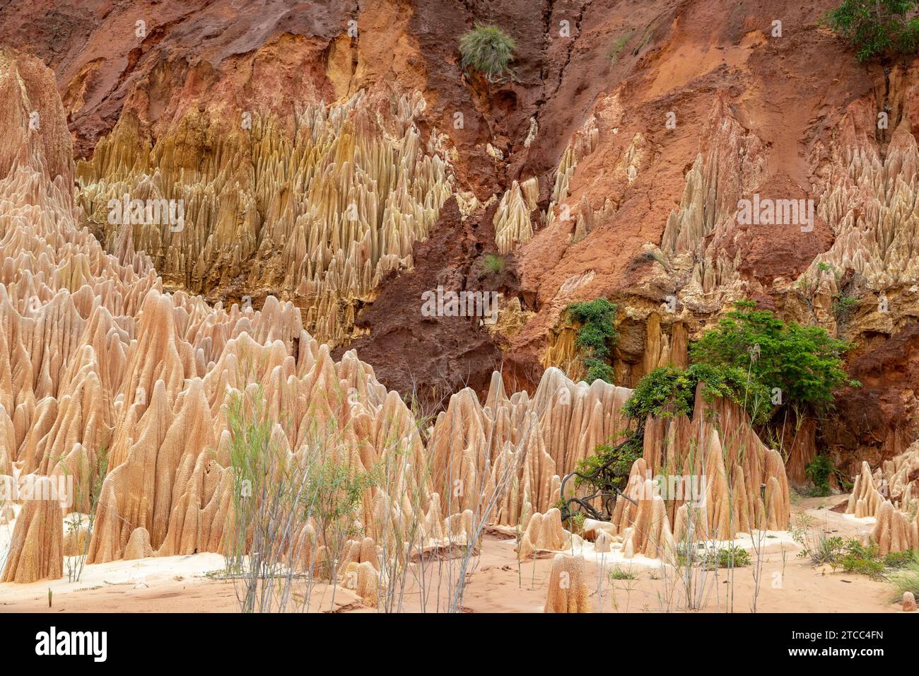Red sandstone formations and needles (Tsingys) in Tsingy Rouge Park in ...