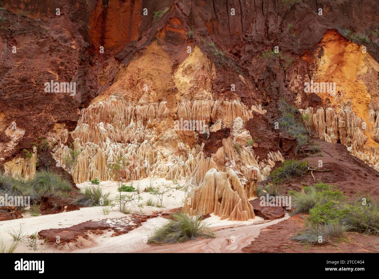 Red sandstone formations and needles (Tsingys) in Tsingy Rouge Park in ...