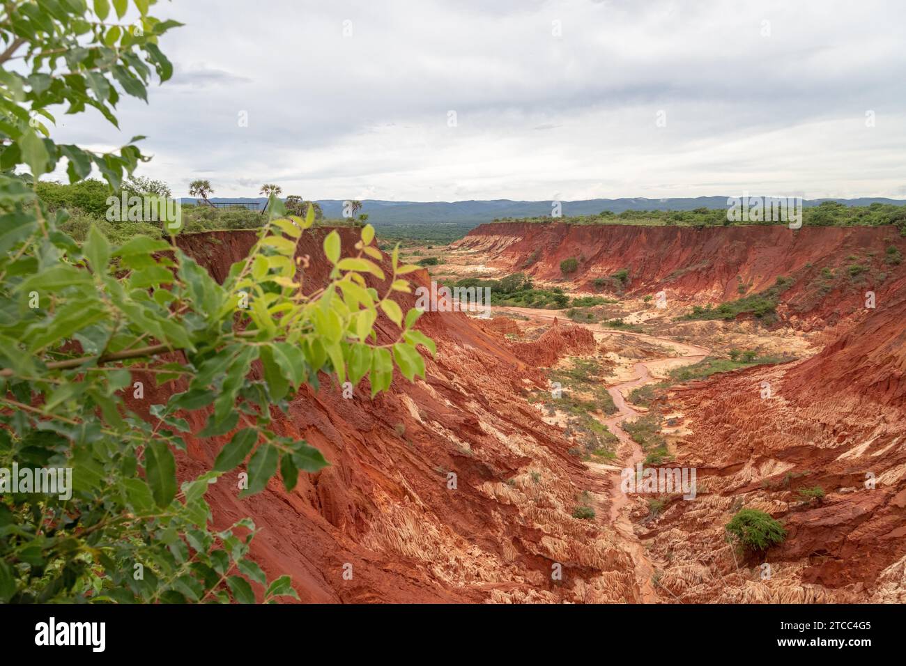 Red sandstone formations and needles (Tsingys) in Tsingy Rouge Park in ...