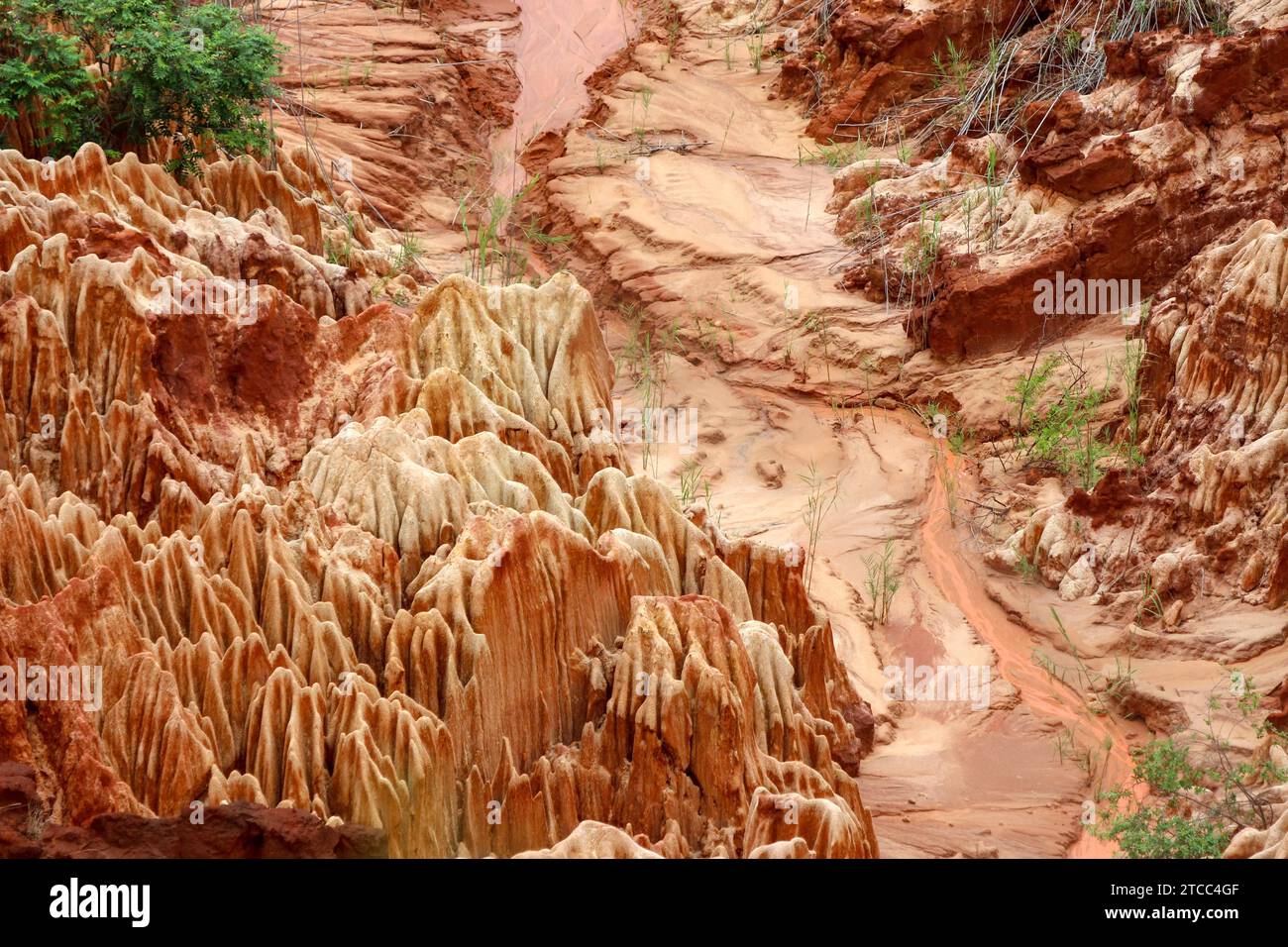 Red sandstone formations and needles (Tsingys) in Tsingy Rouge Park in ...