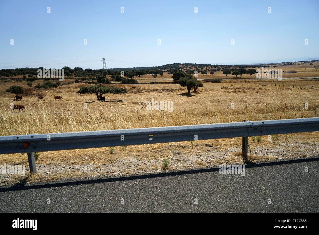 Dry landscape in Spain with large pastures for cattle and agriculture ...