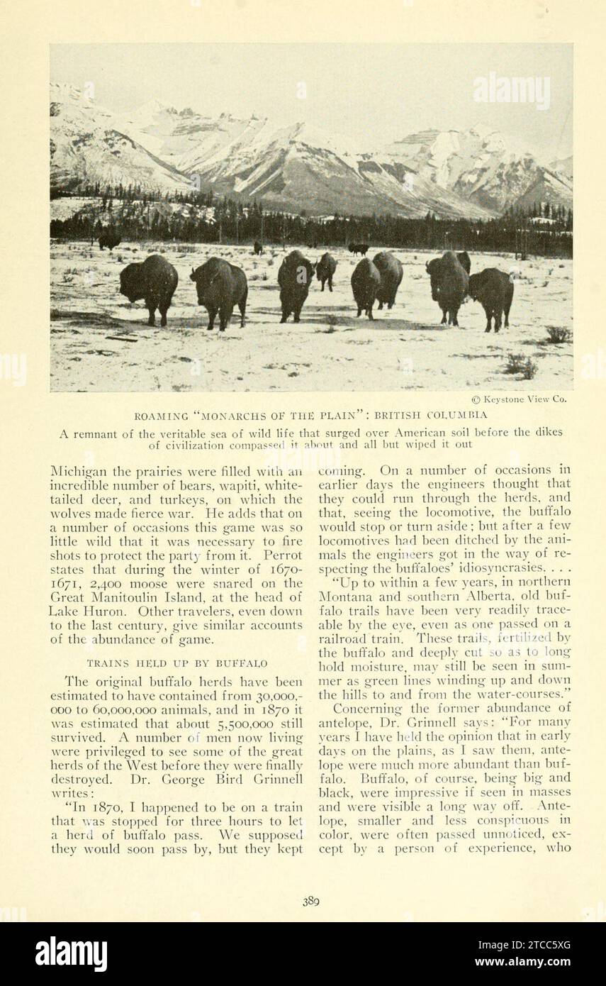 Wild animals of North America, intimate studies of big and little ...