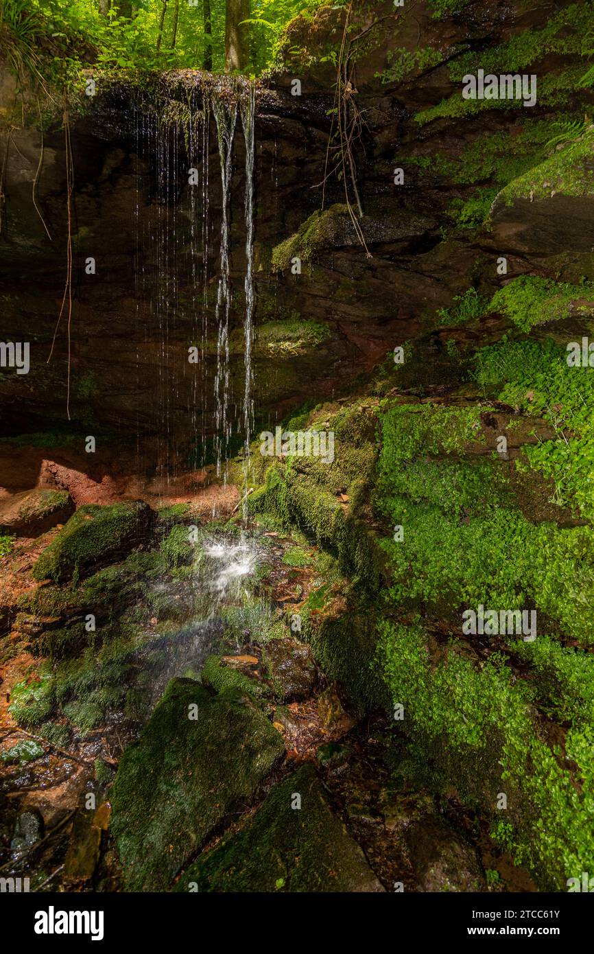 Water flowing over moss covered rocks in the canyon Hexenklamm Stock ...