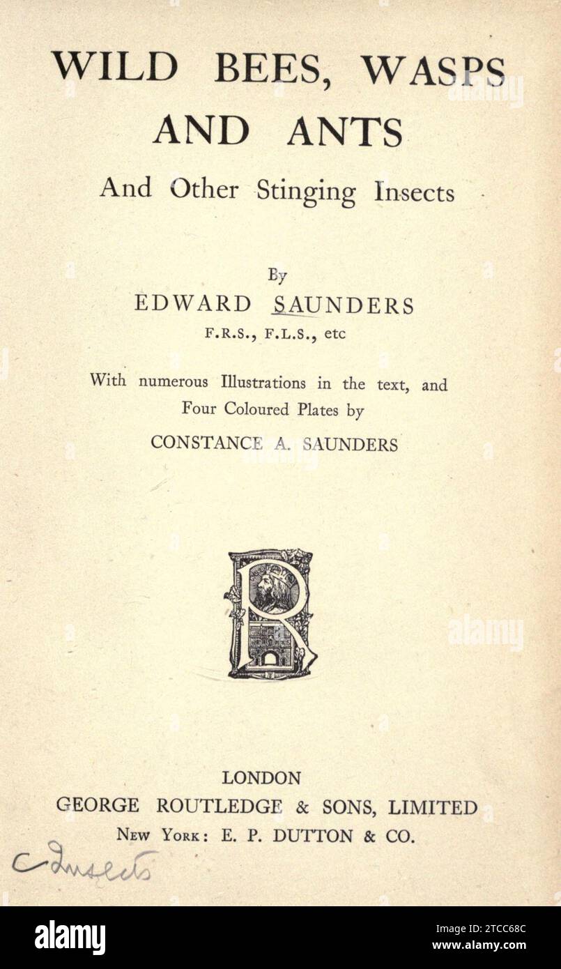 Wild bees, wasps and ants and other stinging insects Stock Photo - Alamy