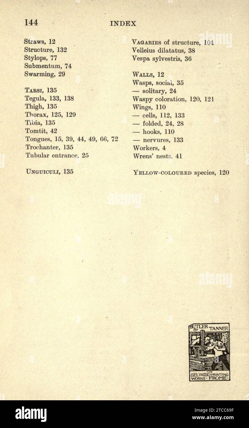 Wild bees, wasps and ants and other stinging insects Stock Photo - Alamy