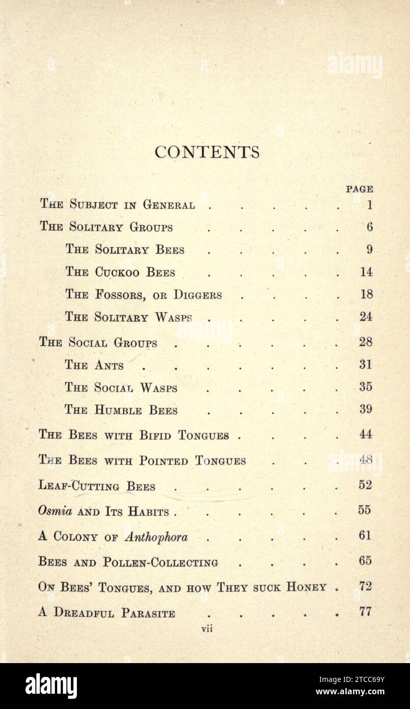 Ants bees stinging wasps hi-res stock photography and images - Alamy