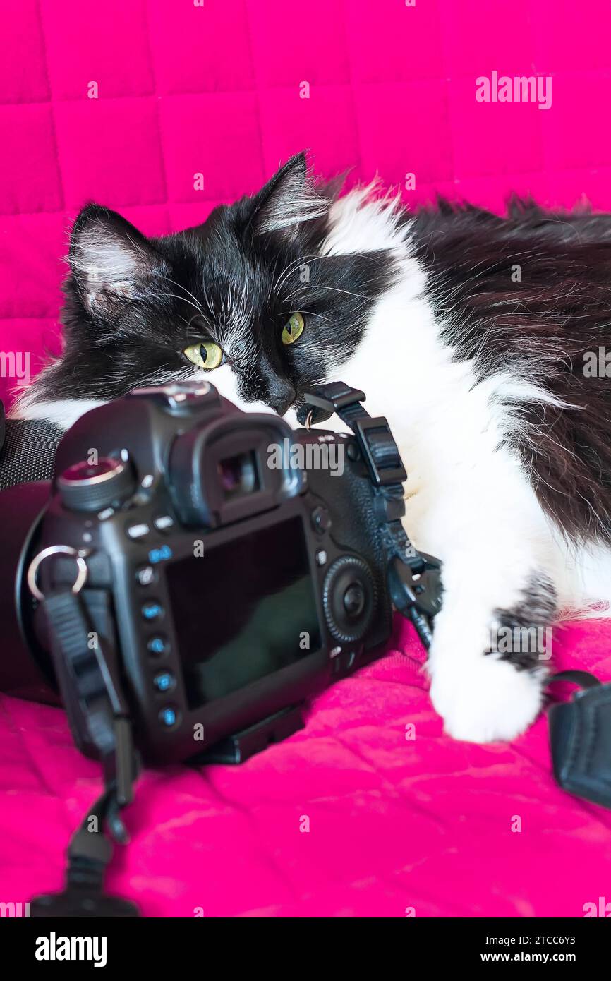 Media lying press hi-res stock photography and images - Alamy