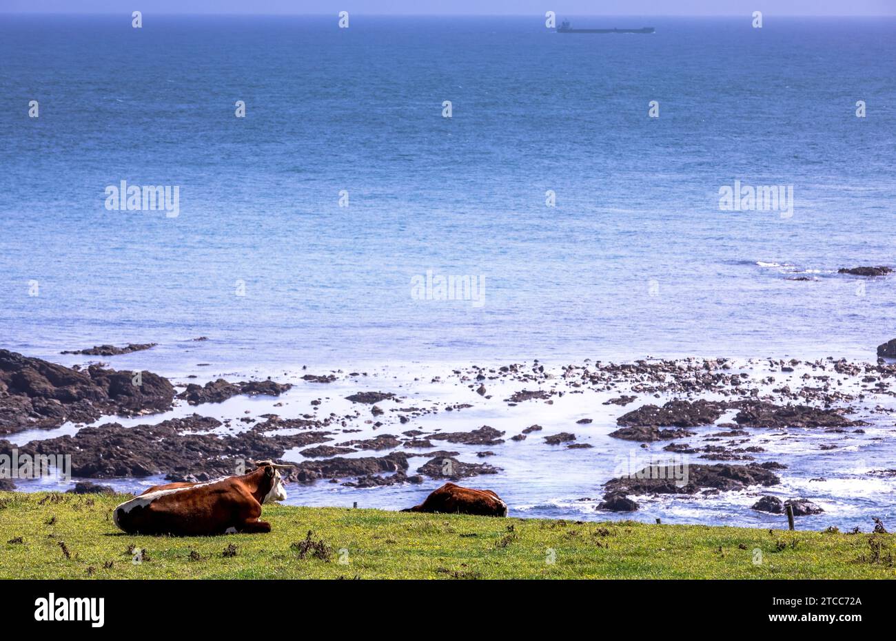 Cornwall coast line Stock Photo - Alamy