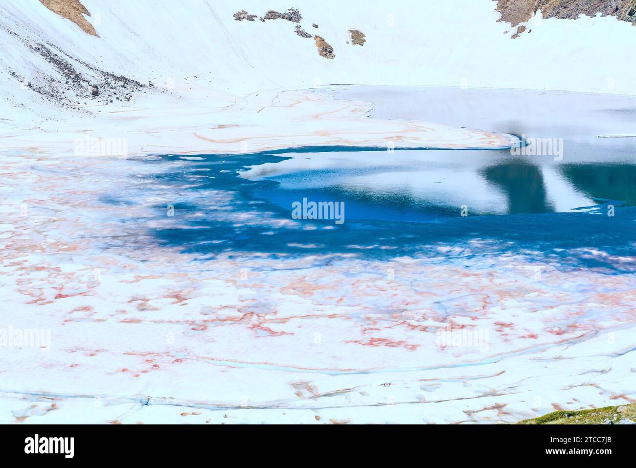 Floating melting ice blocks at the mountain lake in spring Stock Photo ...