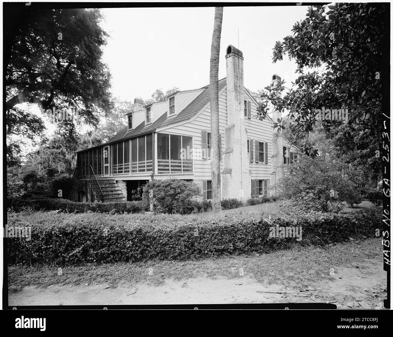 Wild Heron Plantation Stock Photo - Alamy
