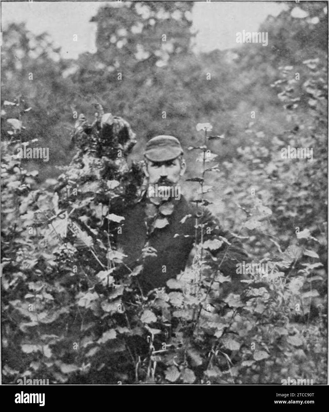 Wild Nature's Ways (1903) Richard Kearton in foliage Stock Photo - Alamy