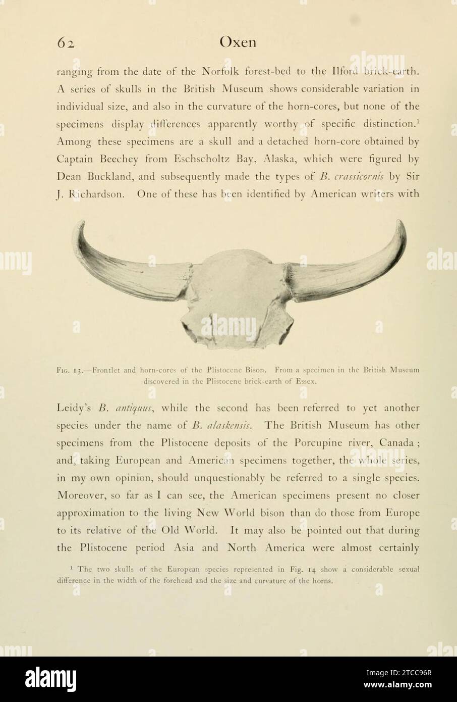 Wild oxen, sheep and goats of all lands, living and extinct (Page 62 ...