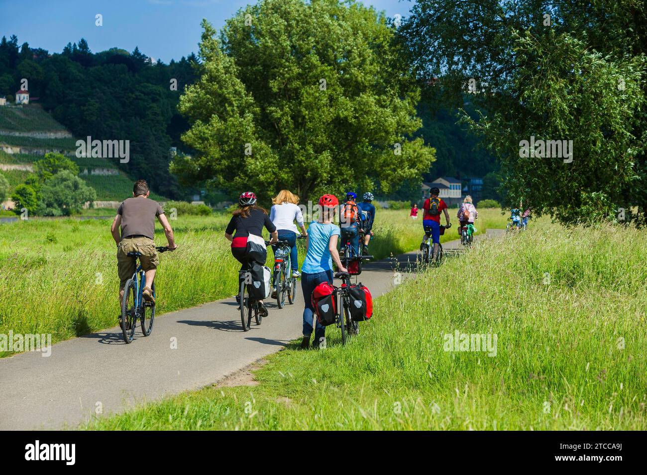 Elbe Cycle Route in Dresden Stock Photo - Alamy