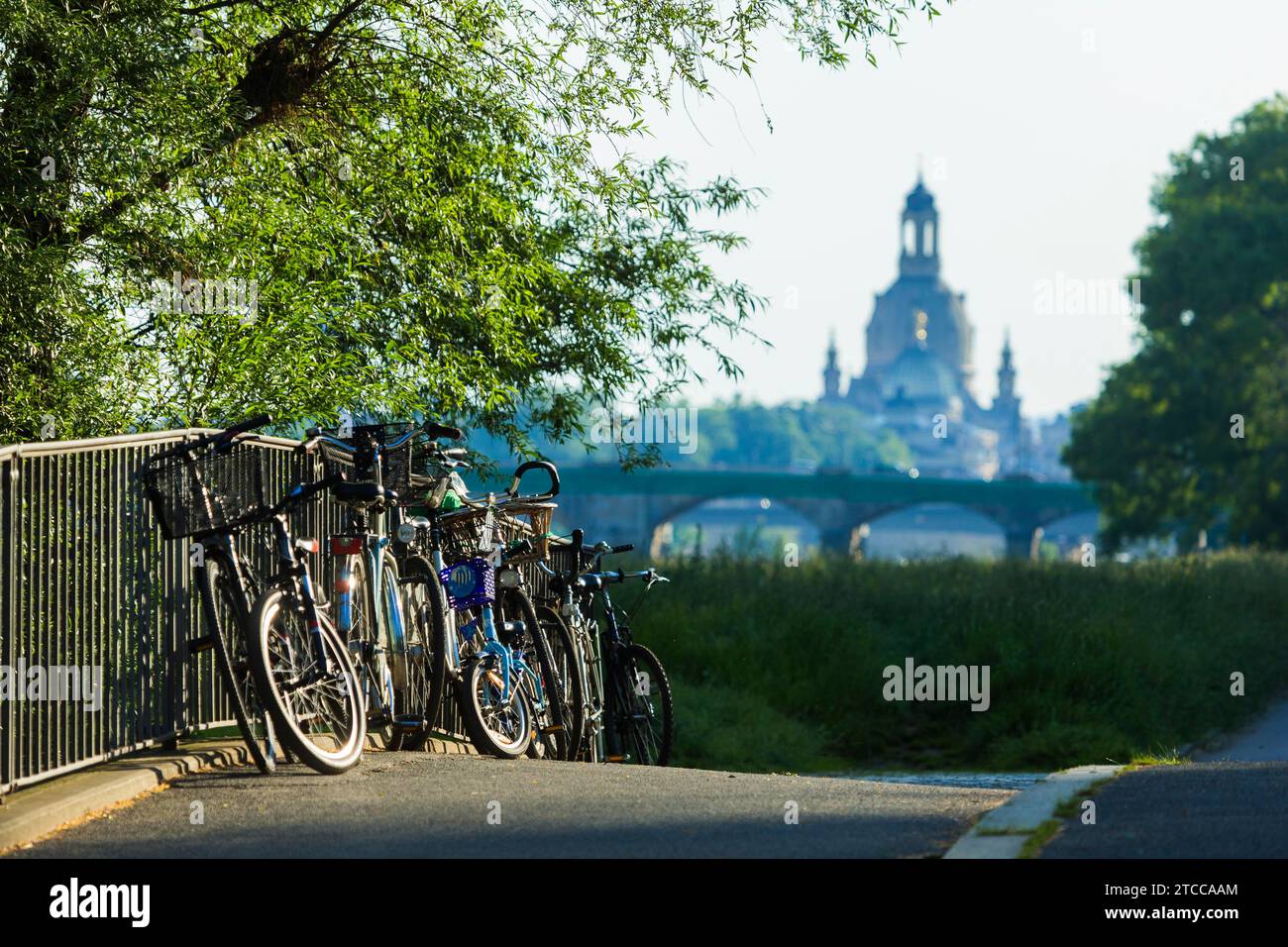 Elbe Cycle Route in Dresden Stock Photo - Alamy