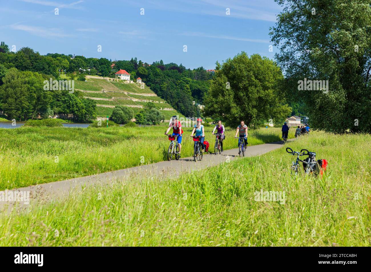 Elbe Cycle Route in Dresden Stock Photo - Alamy