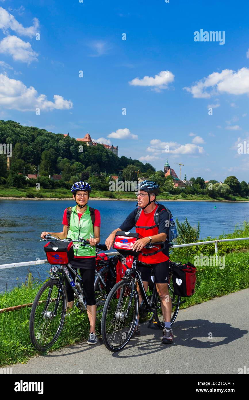 Elbe Cycle Route in Pirna Stock Photo - Alamy