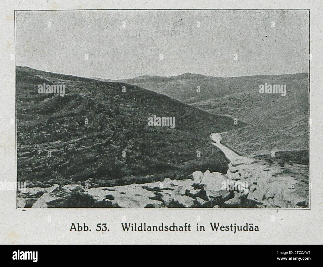 Wildlandschaft in Westjudäa - Banse Ewald - 1919 Stock Photo - Alamy