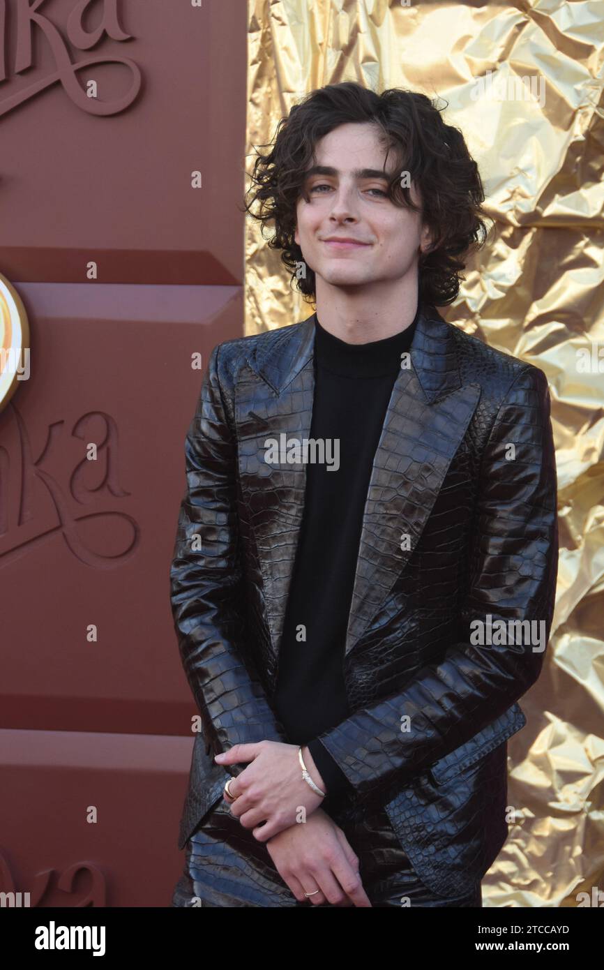 Los Angeles, California, USA 10th December 2023 Actor Timothee Chalamet ...